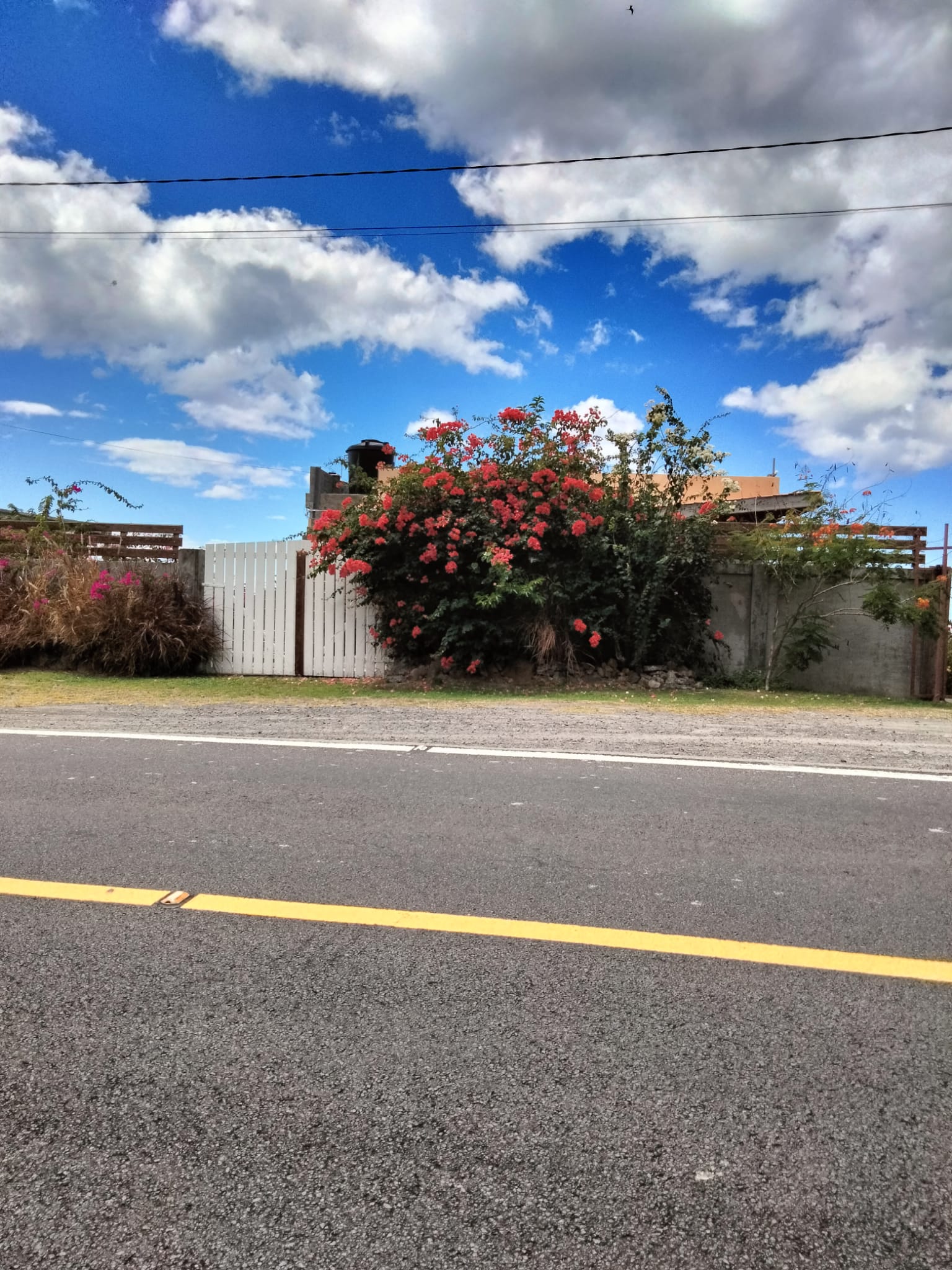 6 bedroom house for sale in Colihaut – Dominica Classified