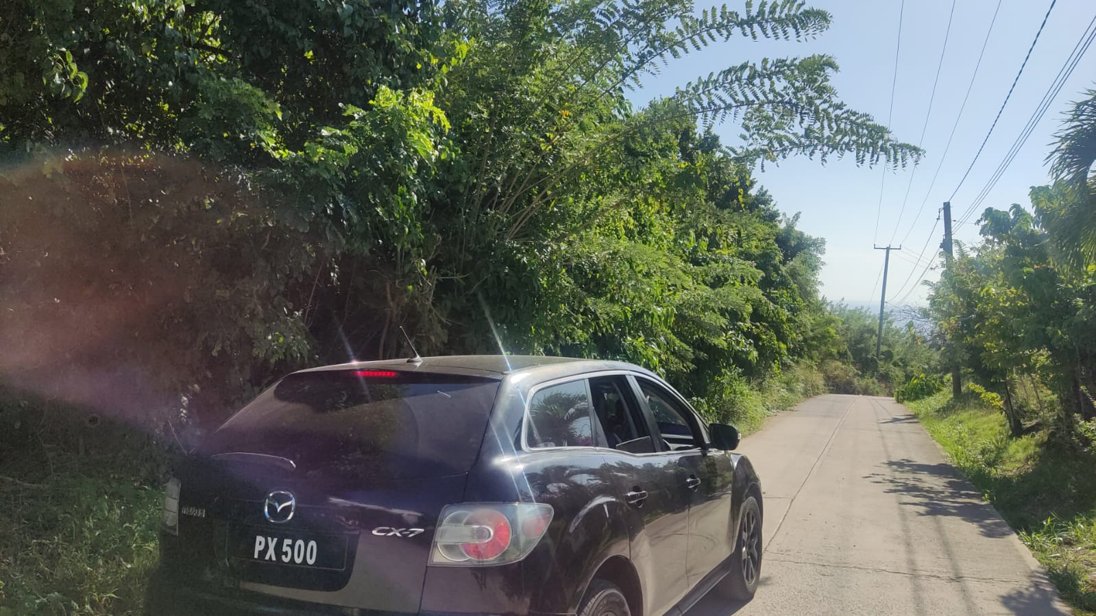 LAND for SALE – 23,300 sq ft – $349,500 – Morne Daniel – Dominica ...