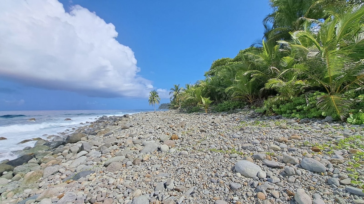 Oceanfront Land – Dominica Classified