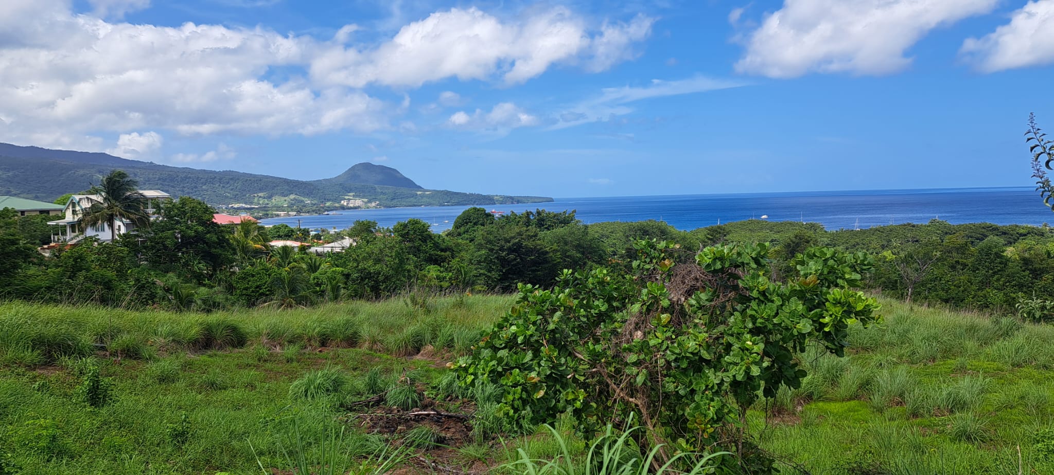 Ocean View Land – Dominica Classified